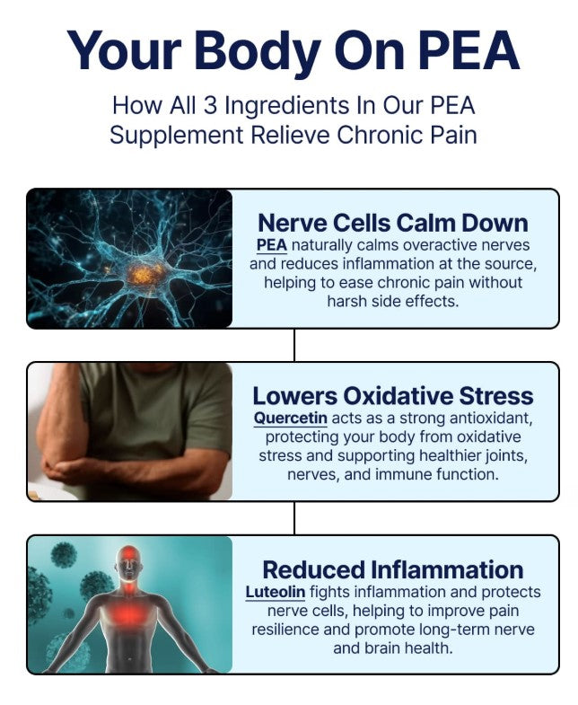 HIGH GRADE NATURALLY SOURCED ULTRA MICRONISED
